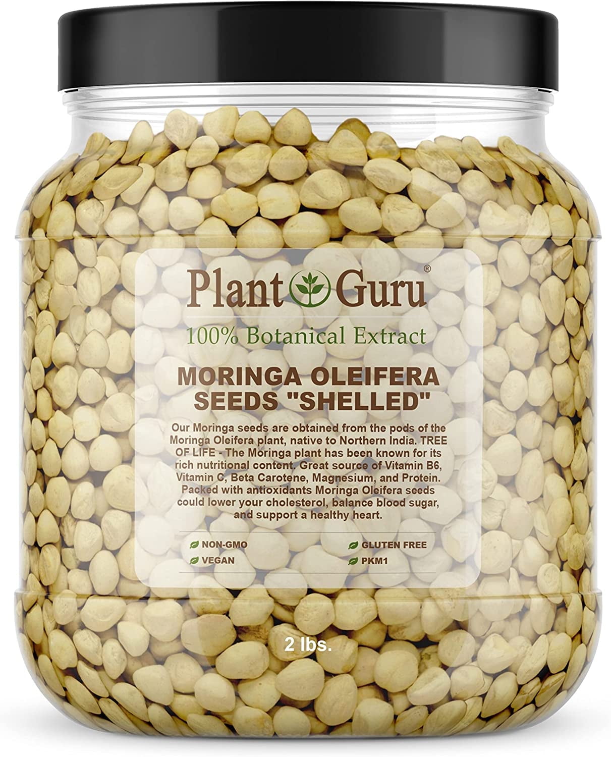 Moringa Oleifera PKM1 Seeds Kernel, 2 lbs Jar - Edible, Non-GMO, 4000 ...