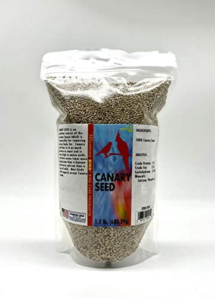 Morning Bird Canary Seed, High in Protein, Amino Acids, Potassium, and ...