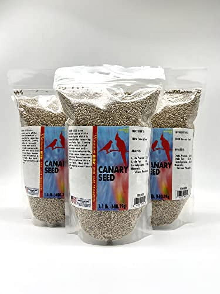 Morning Bird Canary Seed, High in Protein, Amino Acids, Potassium, and ...