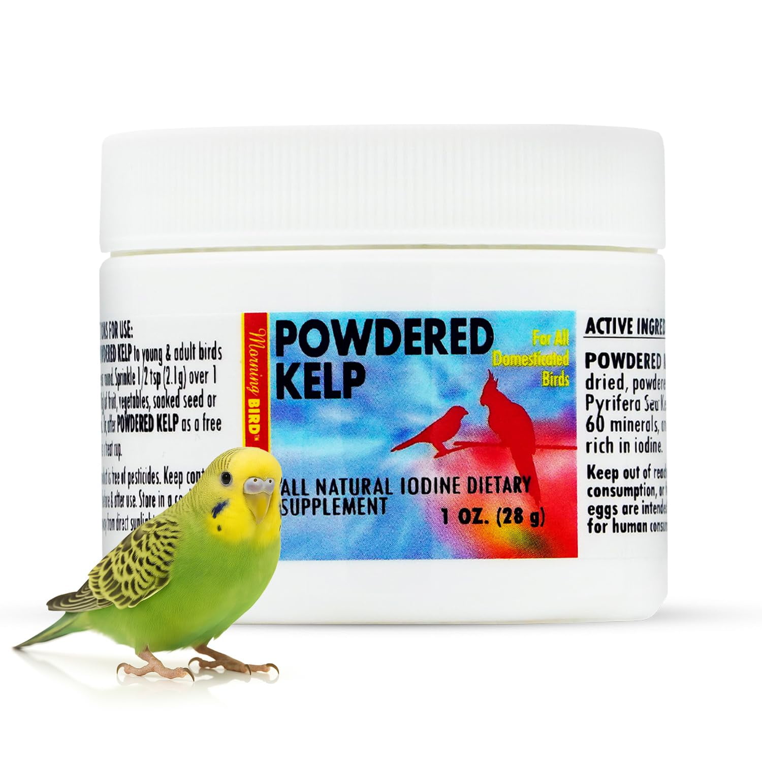 Morning Bird Powdered Kelp 1 Oz Birds Supplement, Iodine Dietary ...