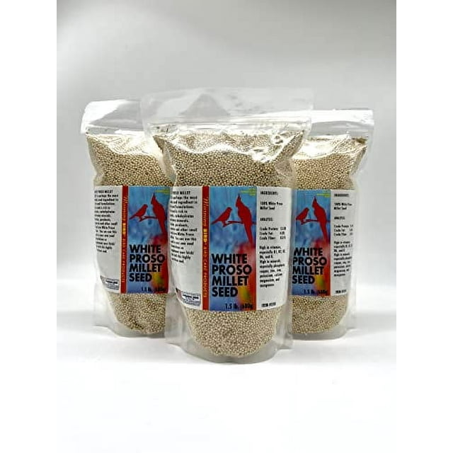 Morning Bird White Proso Millet Seed, Healthy Bird Food, Nutritious ...