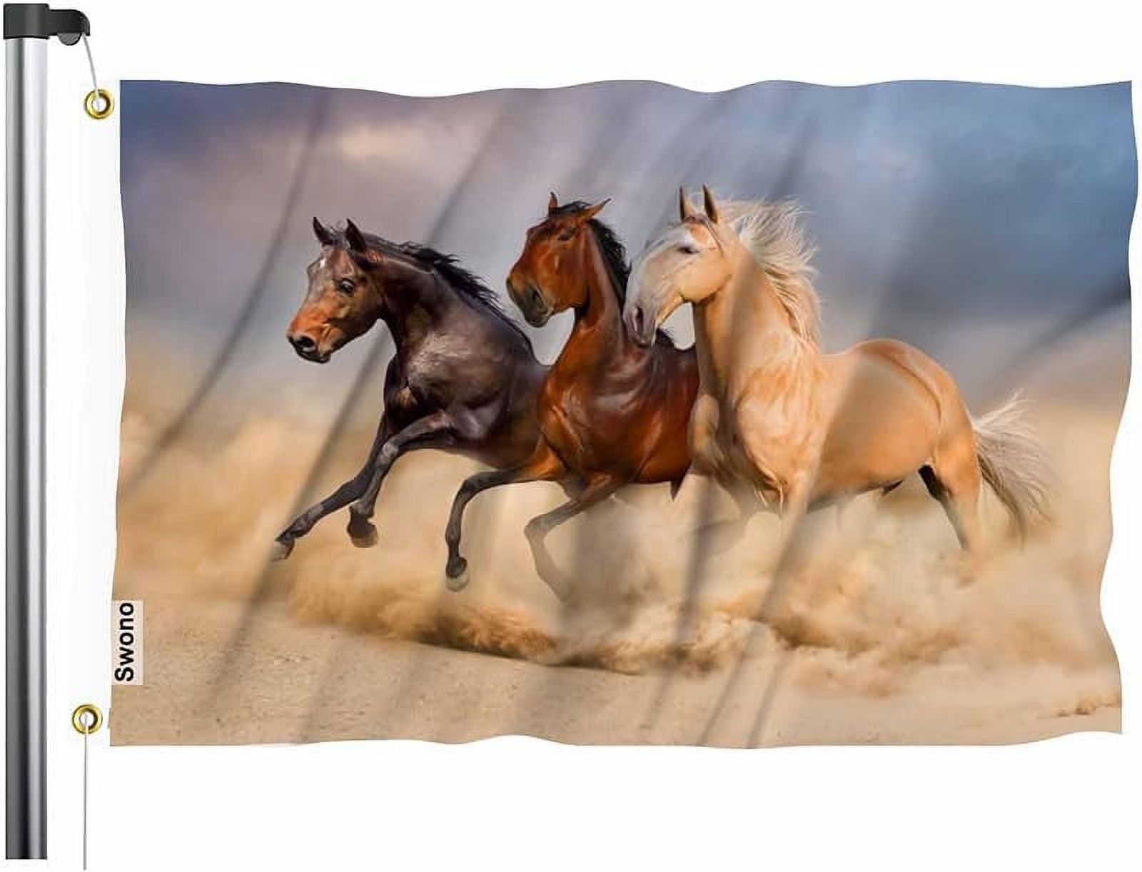 Morning Dew Ladybird Flag Dandelion Flowers Ladybugs Insects Summer ...