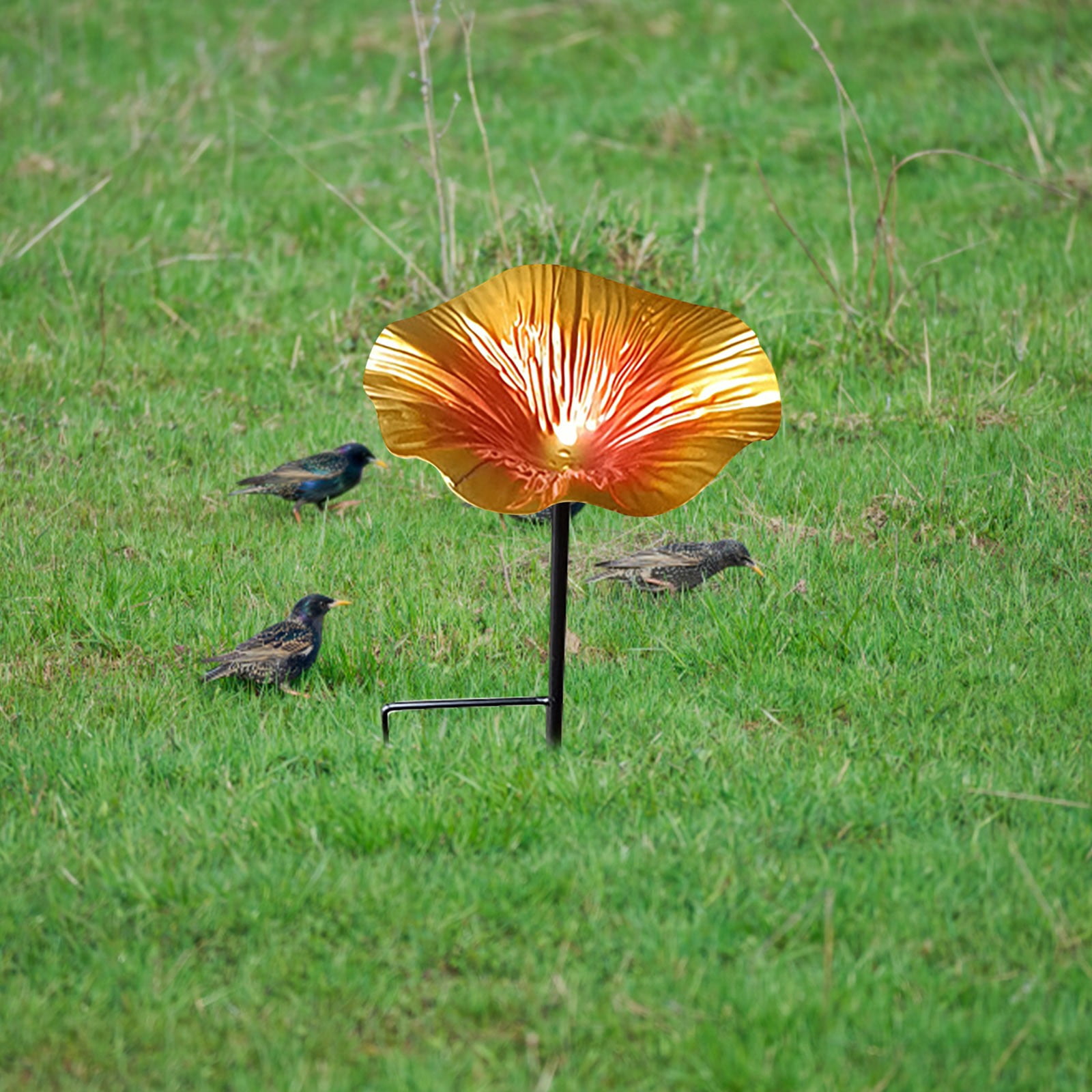 Morning Glory Bird Bath Bowl with Stake Metal Purple Flower Bird Feeder ...