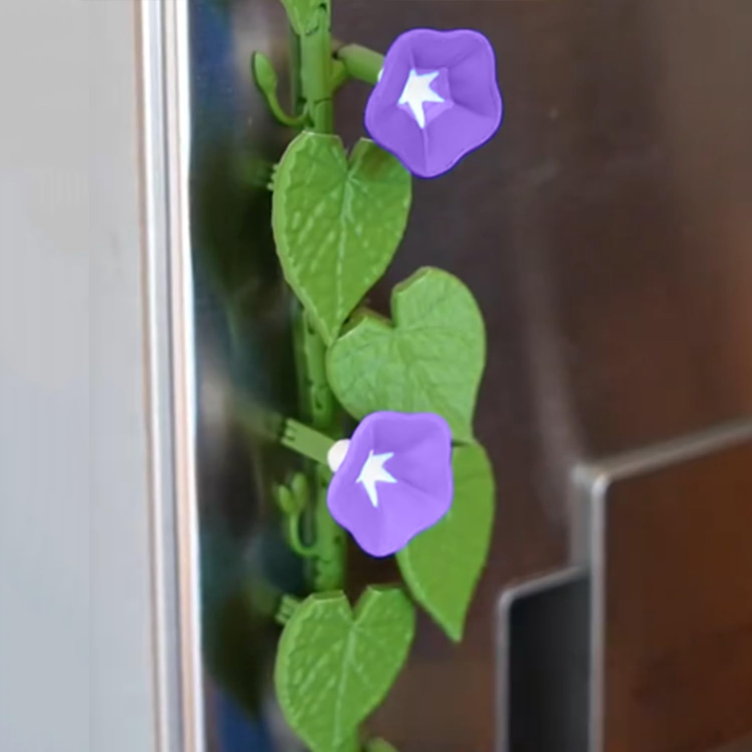 Morning Glory Magnet, Morning Glory Climbing Ivy Fridge Magnets, Plant ...