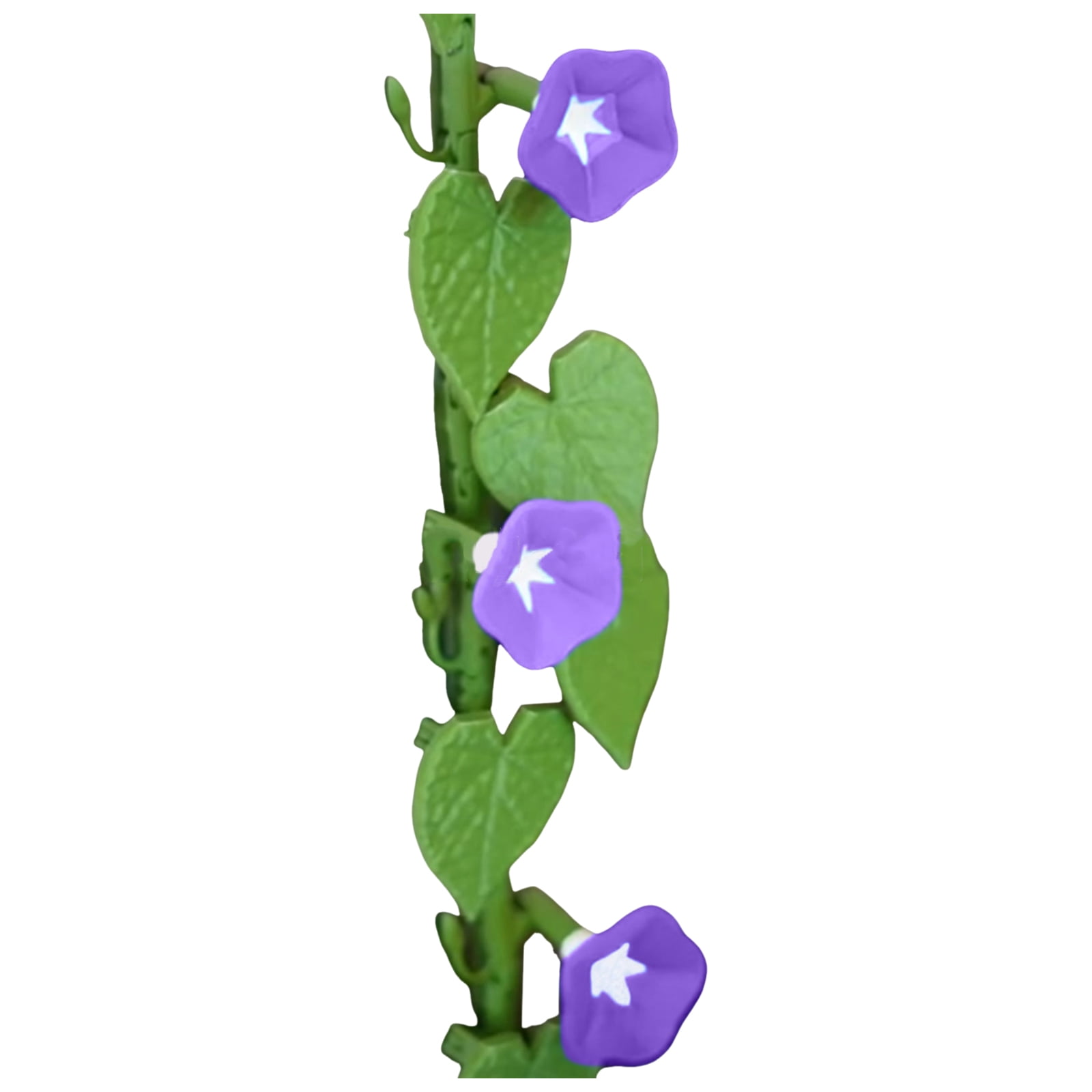 Morning Glory Morning Glory Climbing Fridge Fridge Refrigerator ...