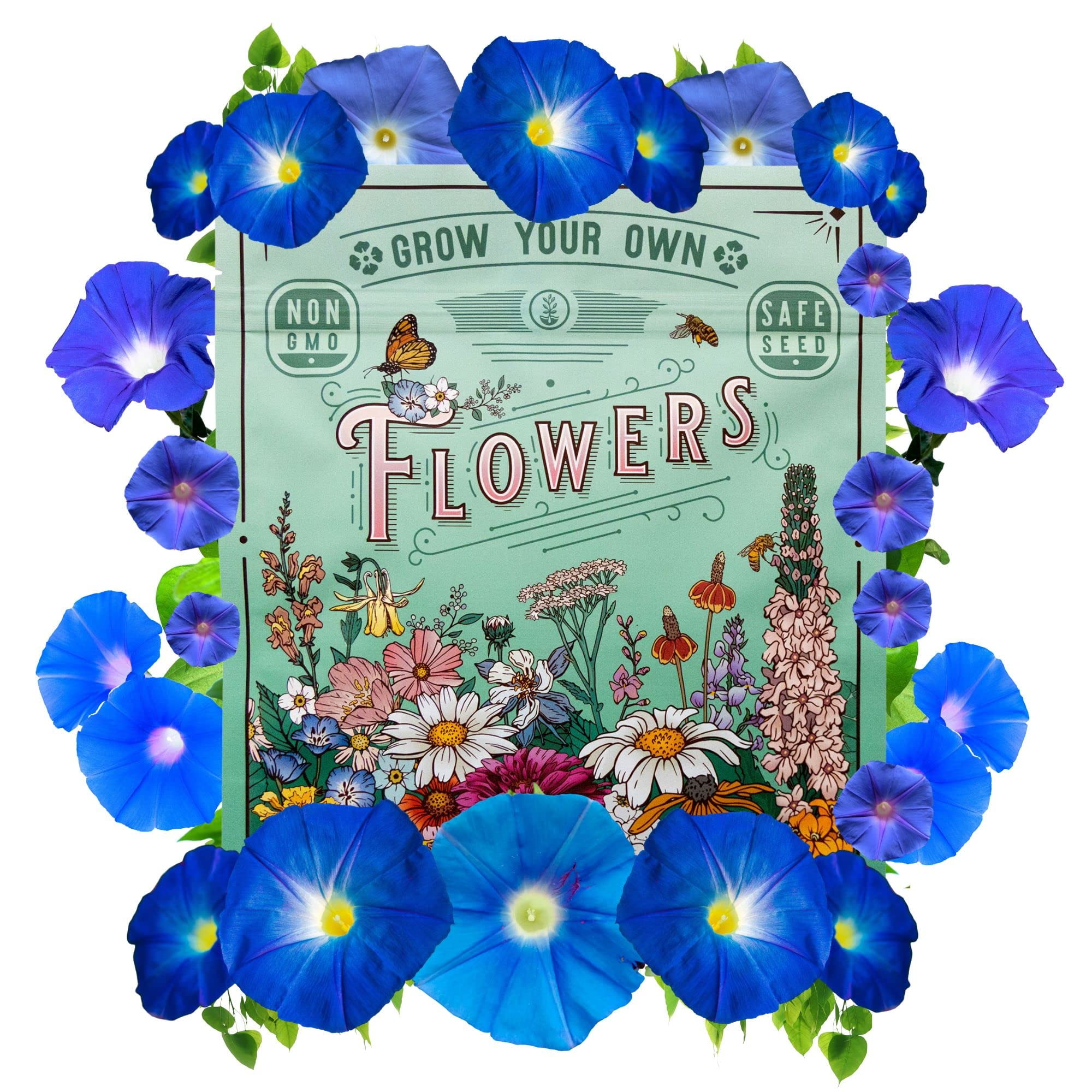 Morning Glory Seeds - Heavenly Blue ZLK1 Morning Glory Seeds - Seeds, 4 ...