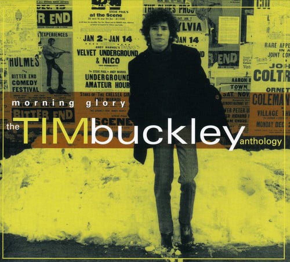 Morning Glory: The Tim Buckley Anthology - Walmart.com
