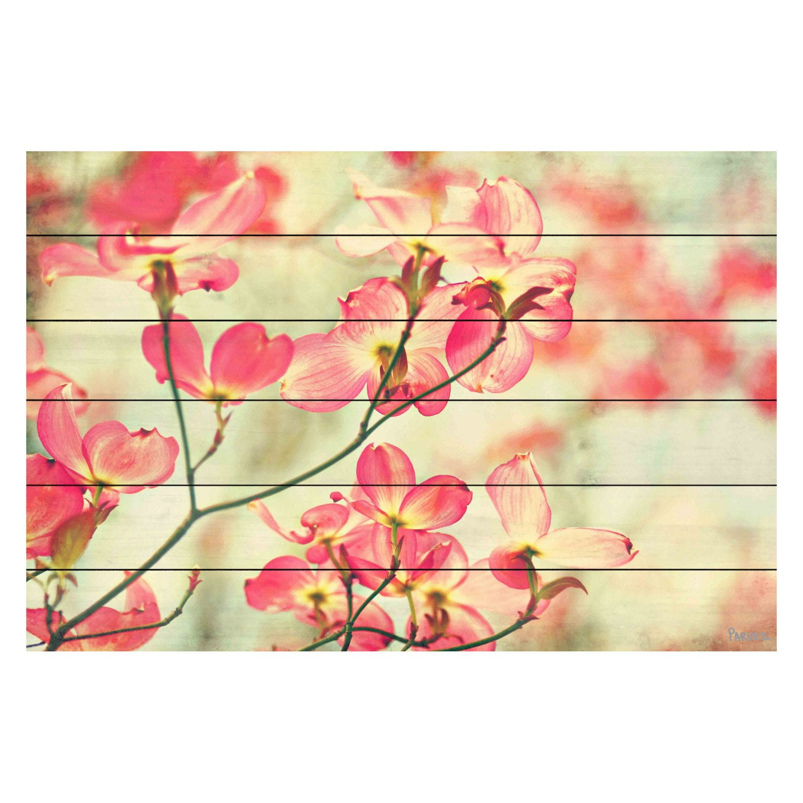 "Morning Light" Painting Print on White Wood - Walmart.com