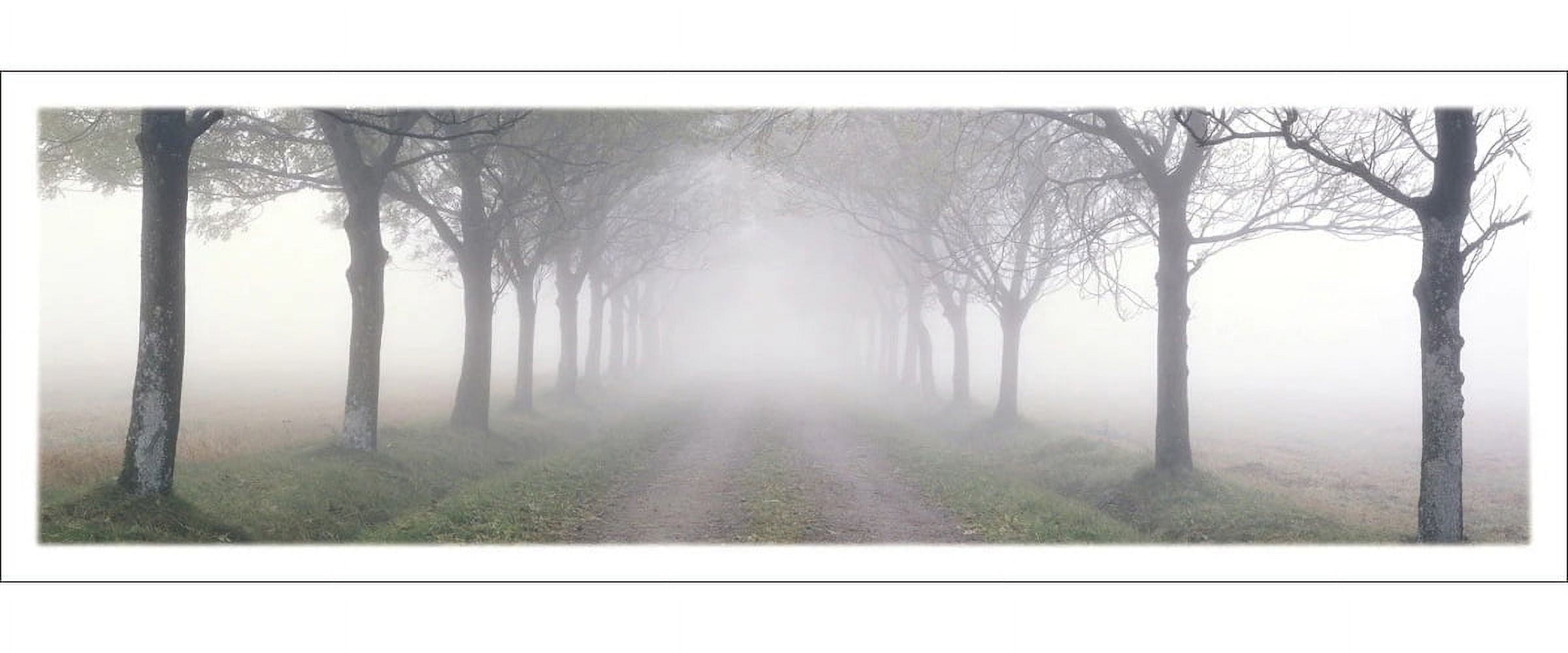 Morning Mist Trees Nature Scenic Landscape Poster 12 x 36 inches ...