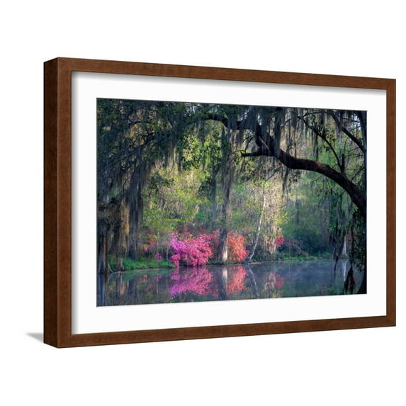 Art.com Morning Serenity Photographic Print by H J Herrera, Brown Frame ...