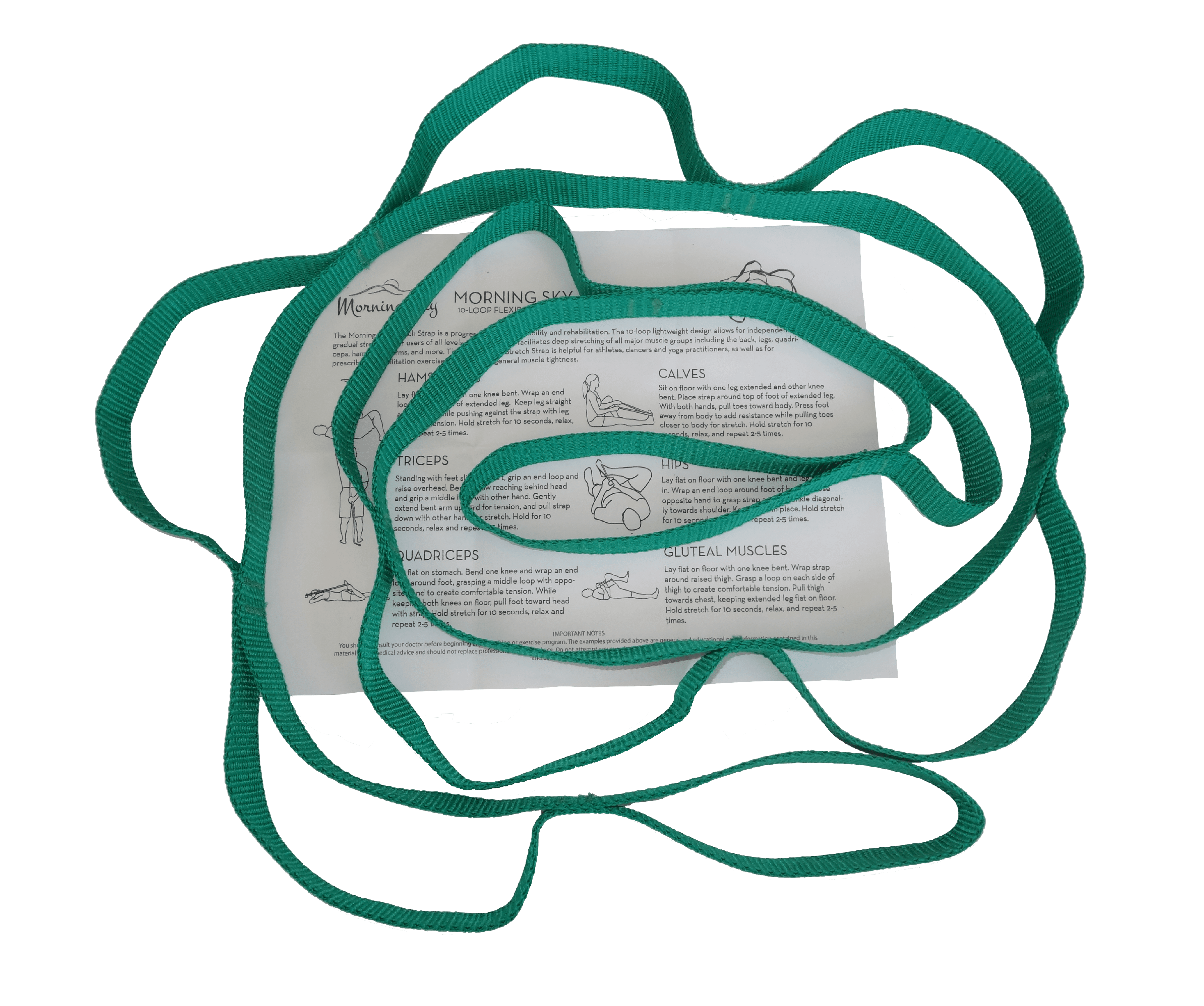Morning Sky Physical Therapy Stretch Strap for Stretching Out 10-Loop ...