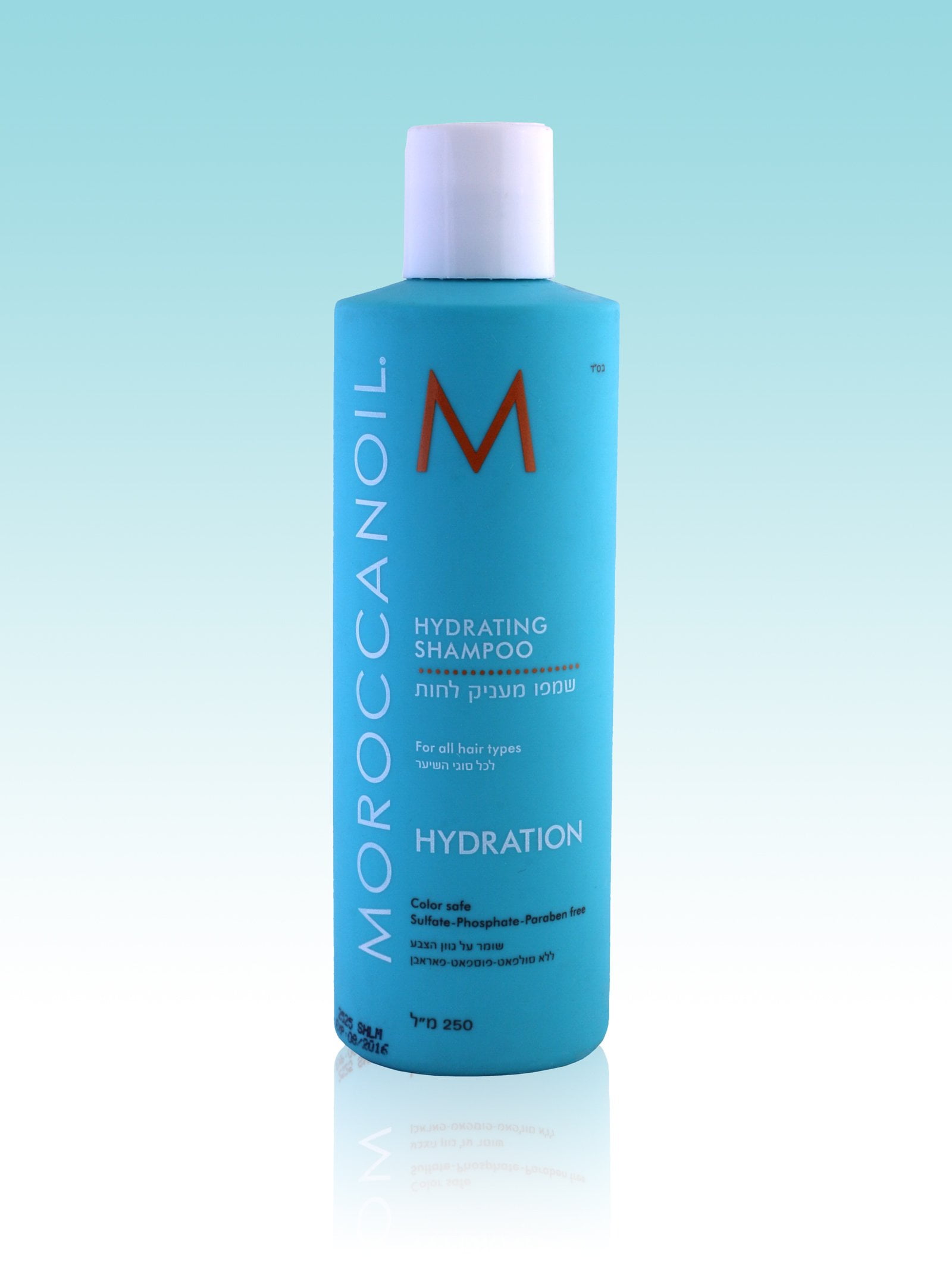 MOROCCANOIL MOROCCANOIL SHAMPOO 8.5 OZ MOROCCANOIL/MOROCCANOIL ...