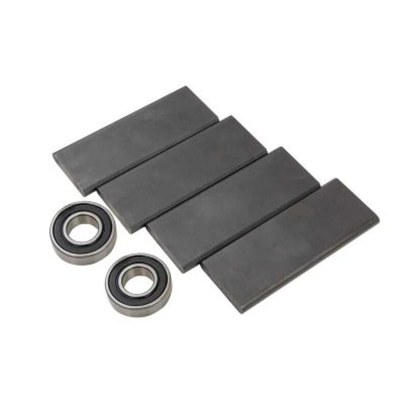 Moroso Large Style Vacuum Pump Vane Kit (For 22843) - Walmart.com