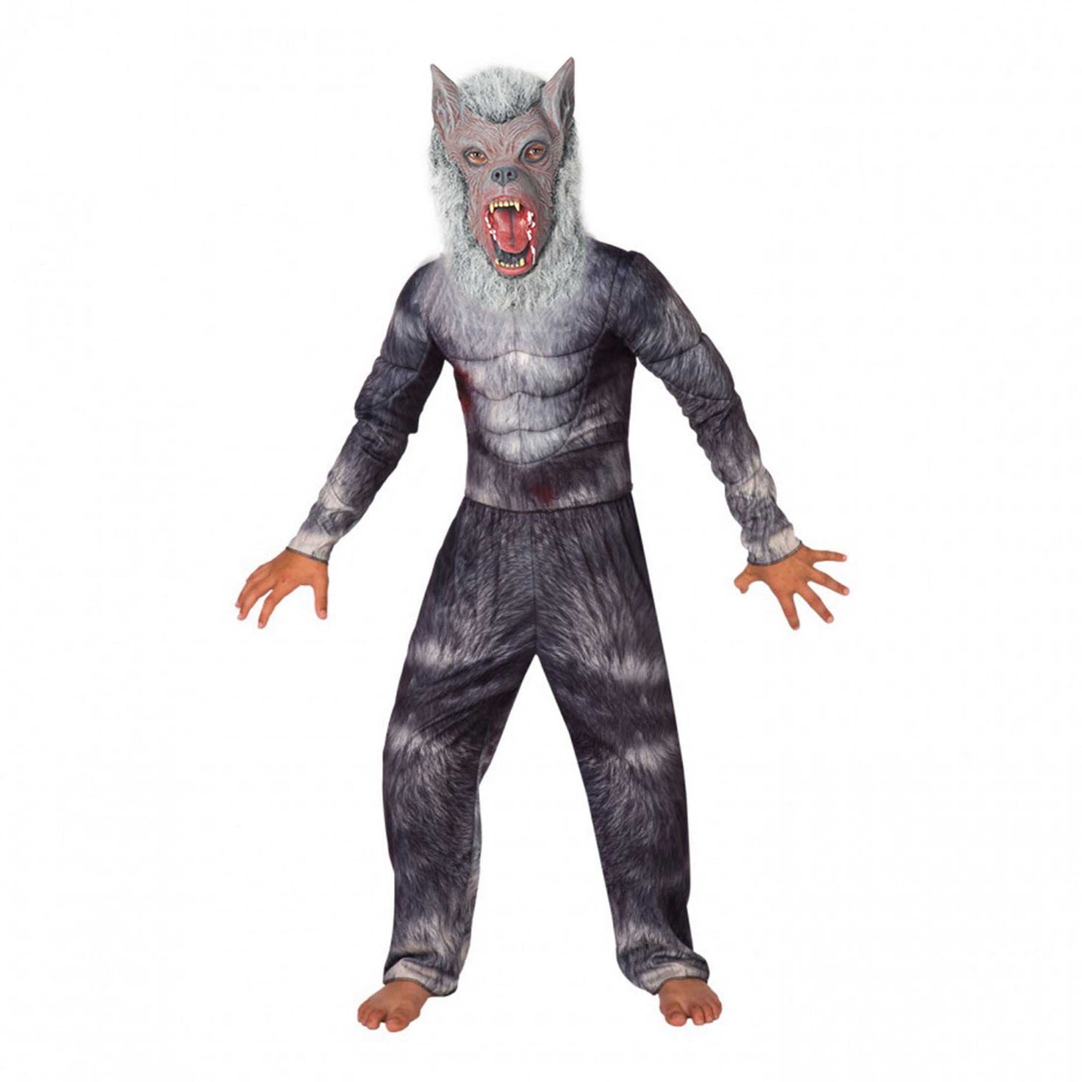Morph Deluxe Werewolf Costume for Boys - Youth Halloween Fancy Dress ...