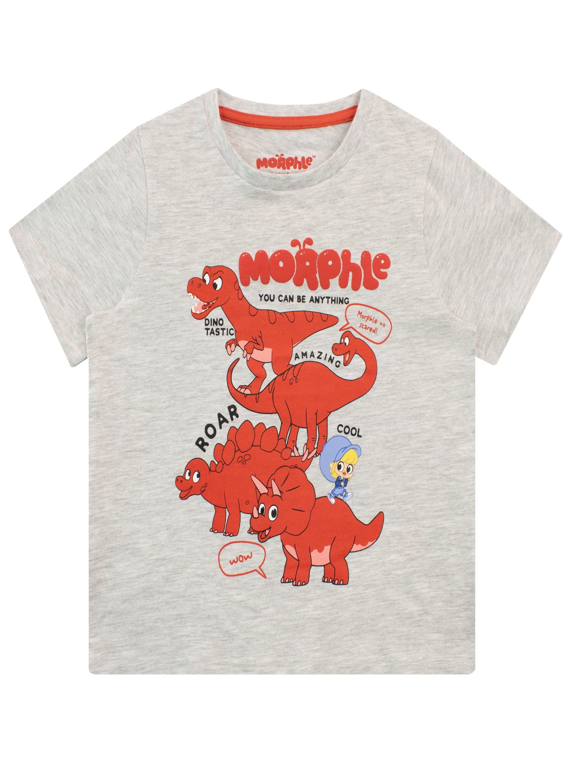 Morphle Boys Dragon T-Shirt Gray Sizes 3T-8 - Walmart.com