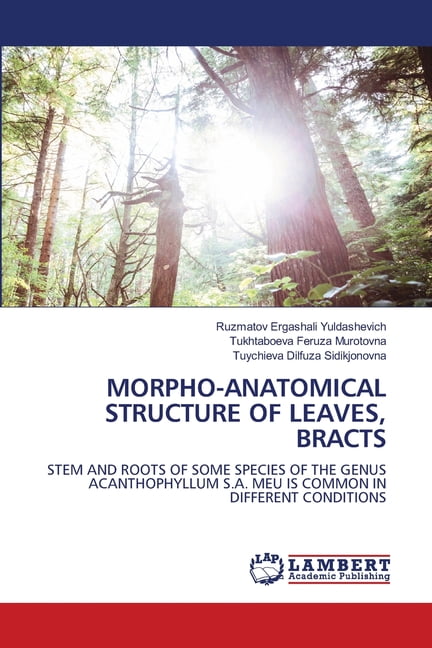 Morpho-Anatomical Structure of Leaves, Bracts, (Paperback) - Walmart.com