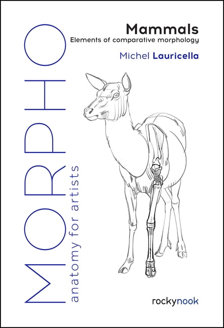 Morpho: Anatomy for Artists Morpho: Mammals: Elements of Comparative ...