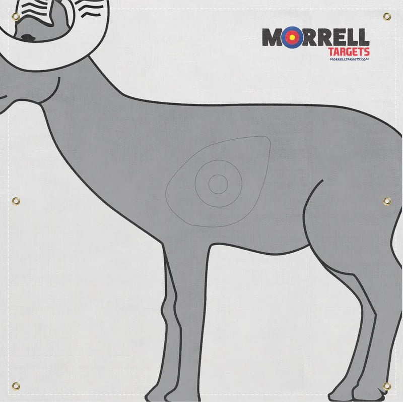Morrell NASP-IBO Life Size Ram Archery Target Face - Walmart.com