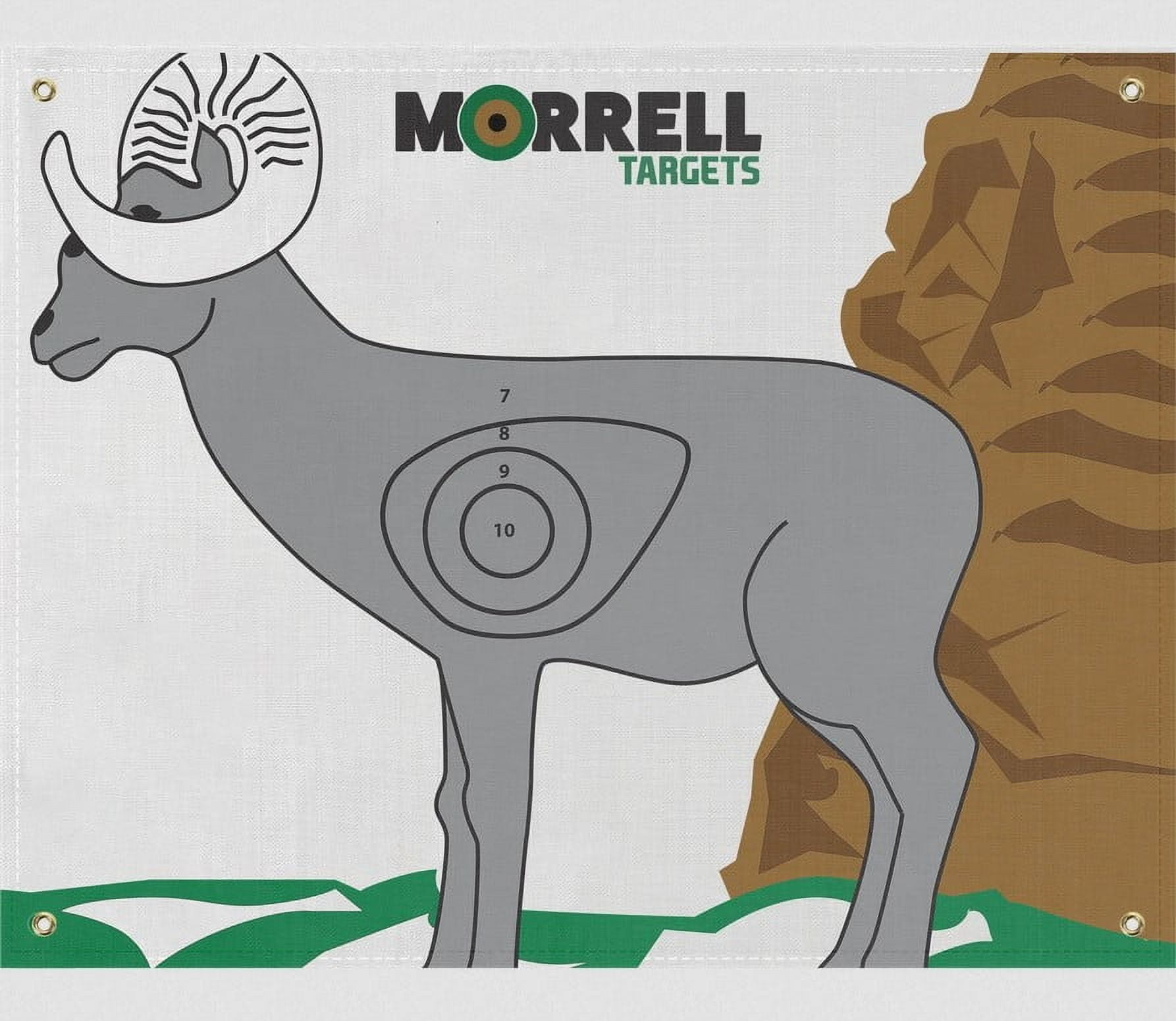 Morrell NASP-IBO Ram Archery Target Face - Walmart.com