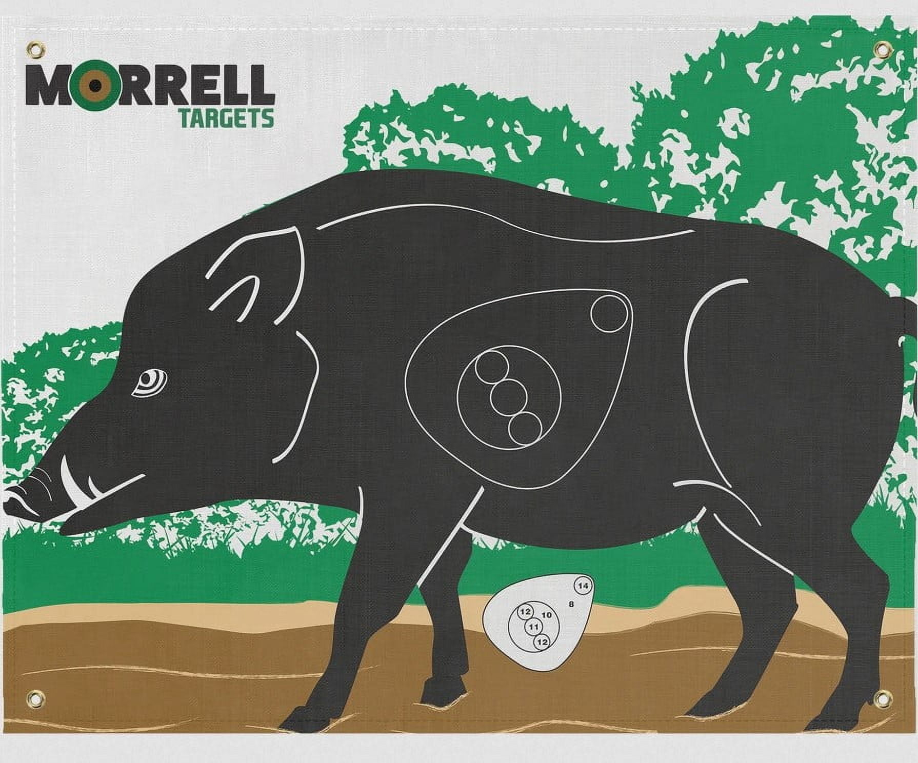 Morrell Polypropylene Archery Target Face, Hog - Walmart.com