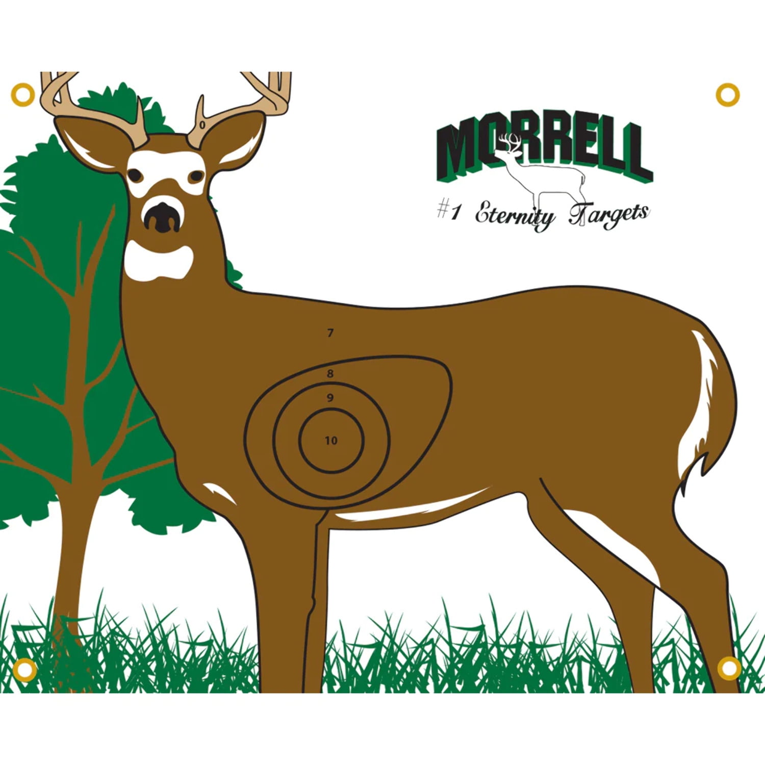 Morrell Polypropylene Target Face Nasp/ibo Whitetail - Walmart.com
