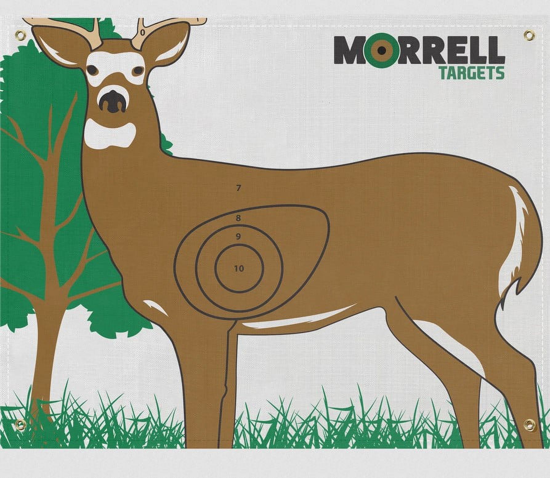 Morrell I.B.O/NASP Polypropylene Archery Target Face - 6 Designs ...