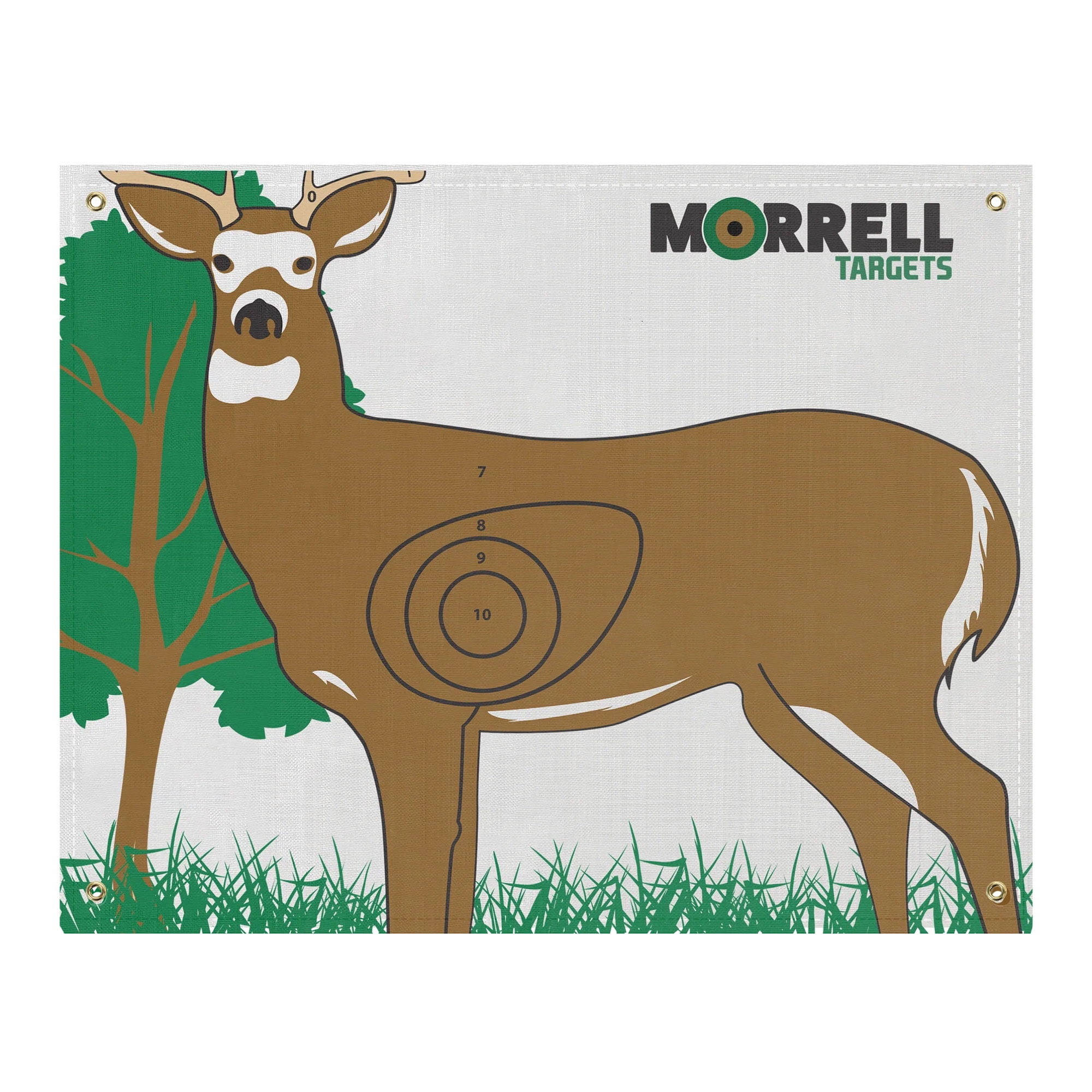 Morrell Whitetail Deer I.B.O/NASP Polypropylene Archery Target Face ...