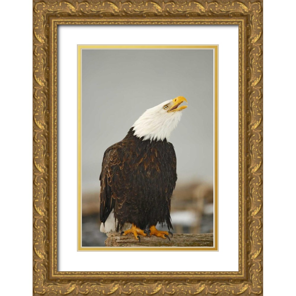 Morris, Arthur 11x14 Gold Ornate Wood Framed with Double Matting Museum ...