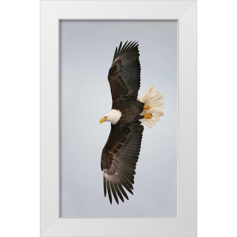 Morris, Arthur 12x18 White Modern Wood Framed Museum Art Print Titled ...
