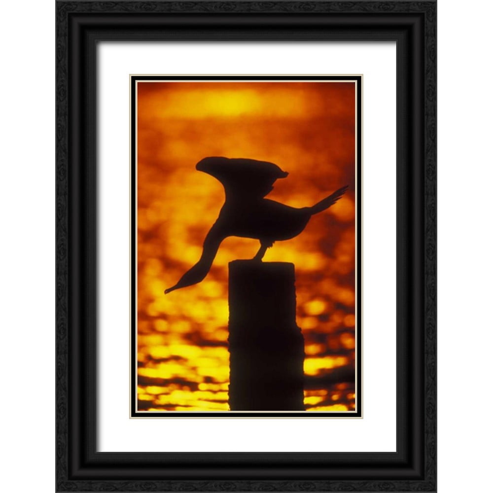 Morris, Arthur 17x24 Black Ornate Wood Framed with Double Matting ...