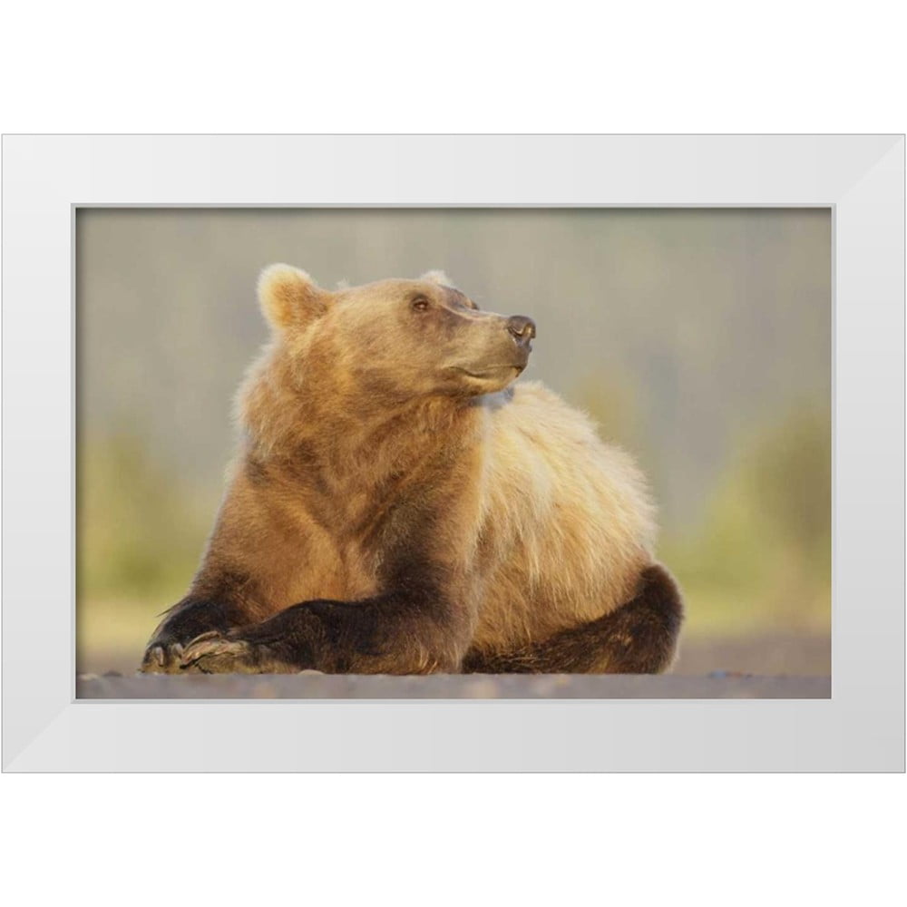 Morris, Arthur 18x13 White Modern Wood Framed Museum Art Print Titled ...