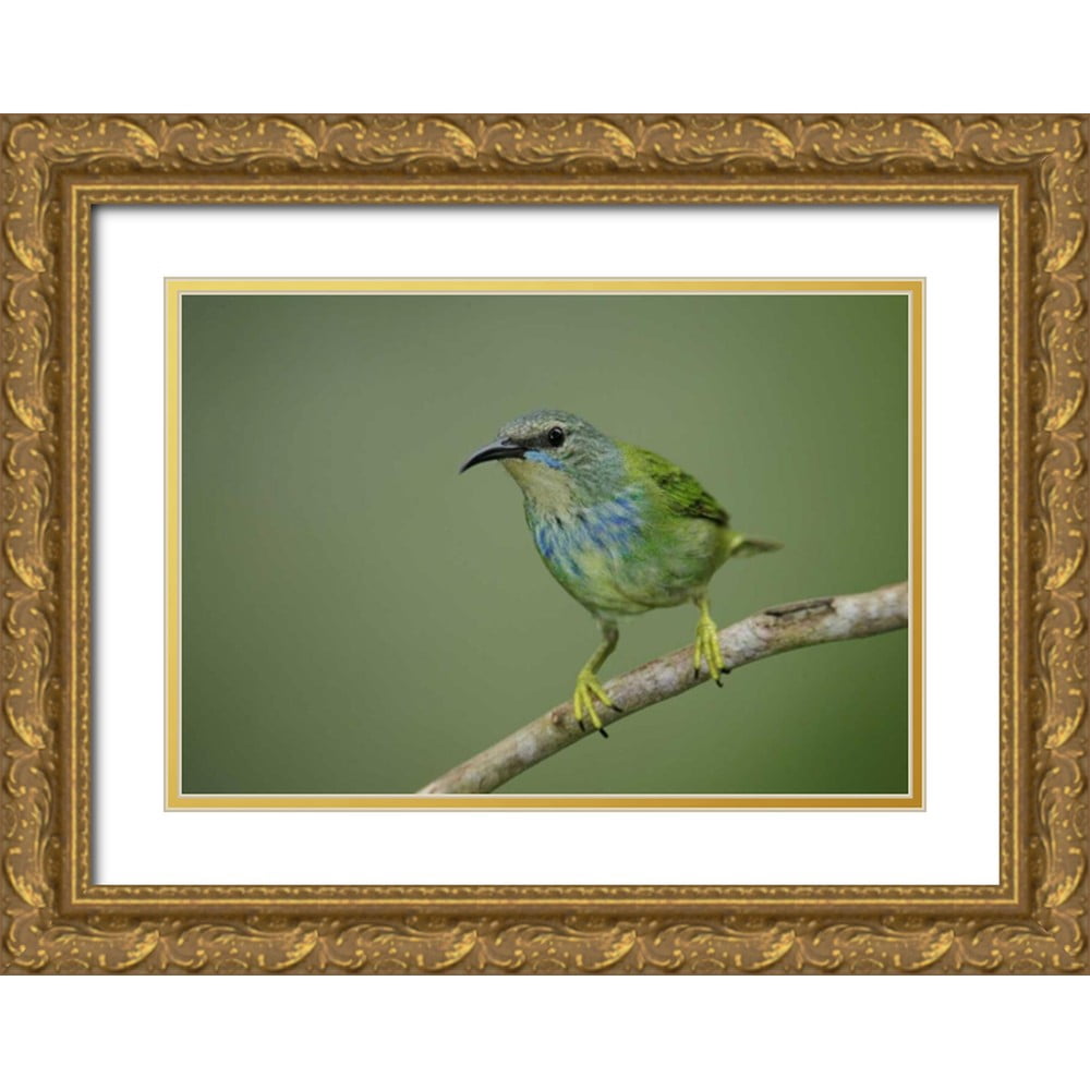 Morris, Arthur 18x14 Gold Ornate Wood Framed with Double Matting Museum ...