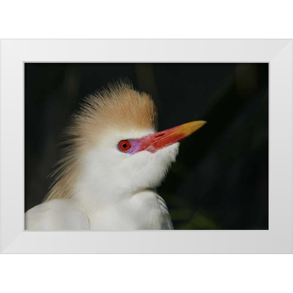 Morris, Arthur 18x14 White Modern Wood Framed Museum Art Print Titled ...