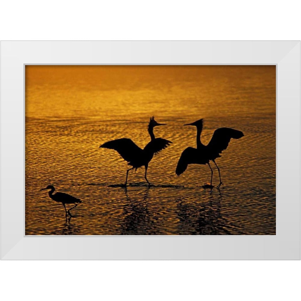 Morris, Arthur 18x14 White Modern Wood Framed Museum Art Print Titled ...