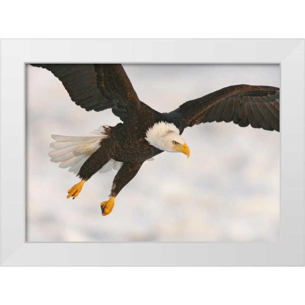 Morris, Arthur 18x14 White Modern Wood Framed Museum Art Print Titled ...