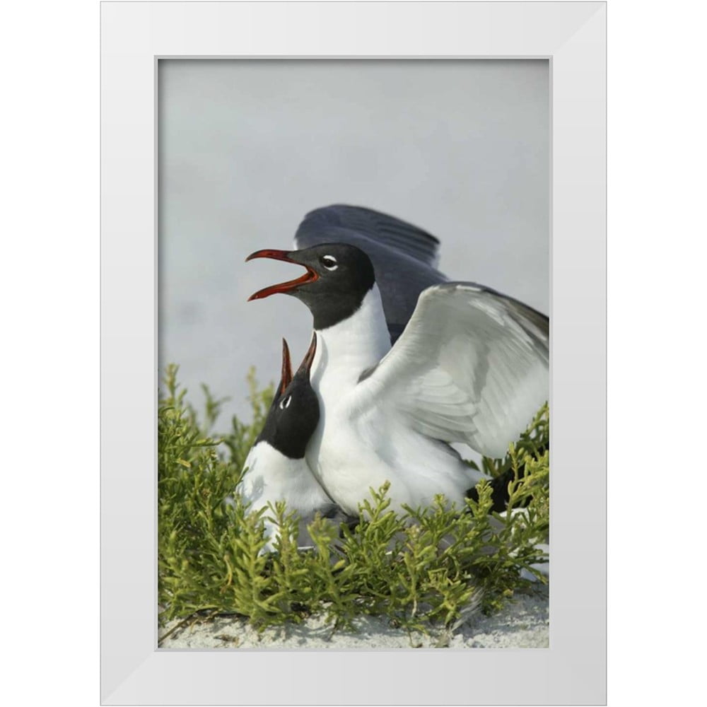 Morris, Arthur 23x32 White Modern Wood Framed Museum Art Print Titled ...