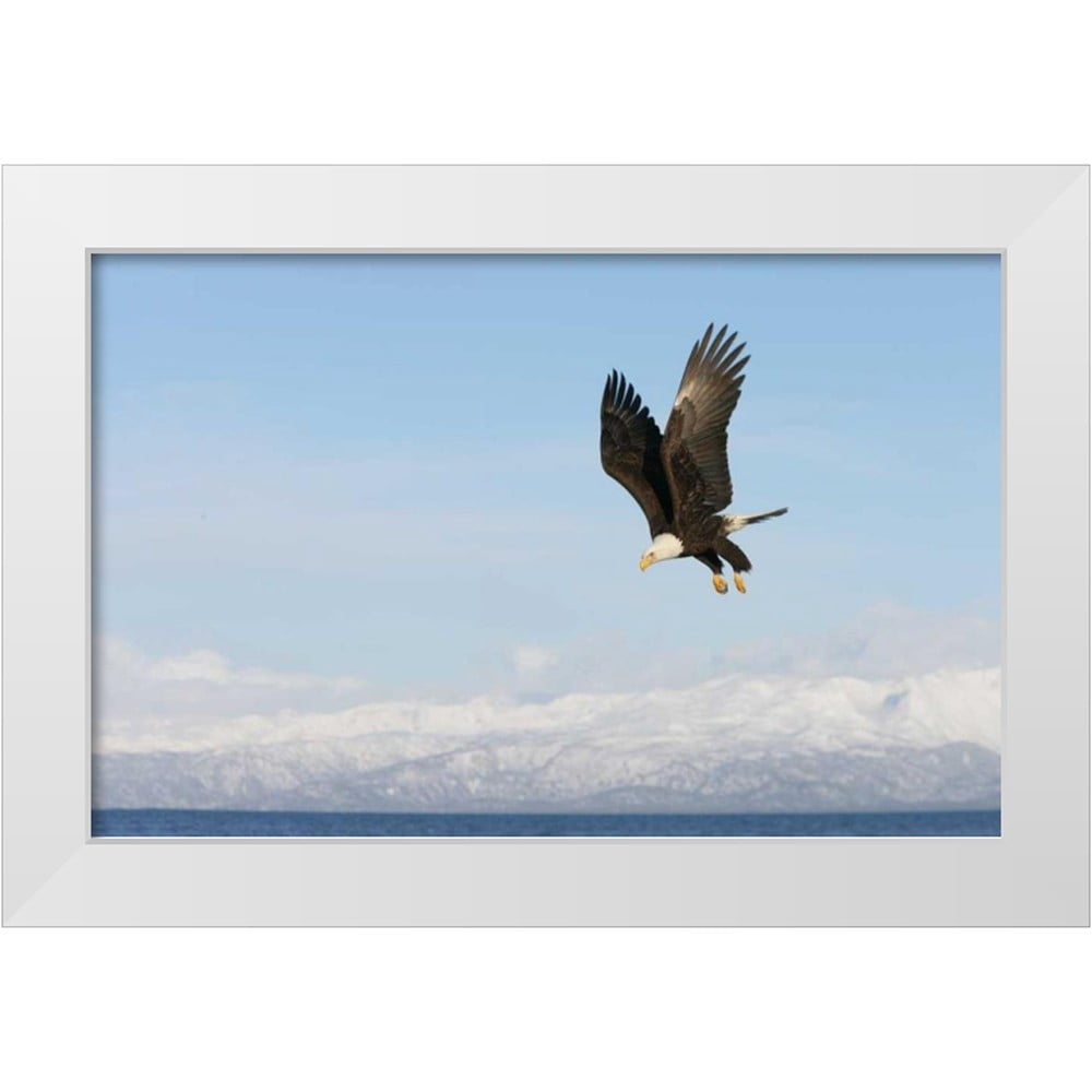 Morris, Arthur 24x17 White Modern Wood Framed Museum Art Print Titled ...