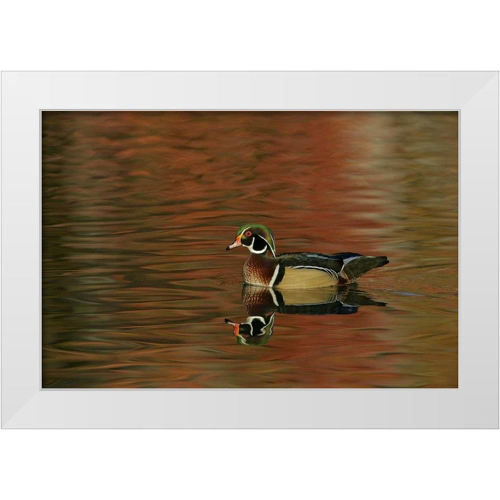 Morris, Arthur 24x17 White Modern Wood Framed Museum Art Print Titled ...