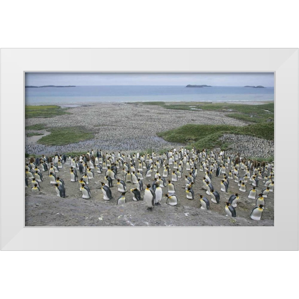 Morris, Arthur 32x21 White Modern Wood Framed Museum Art Print Titled ...