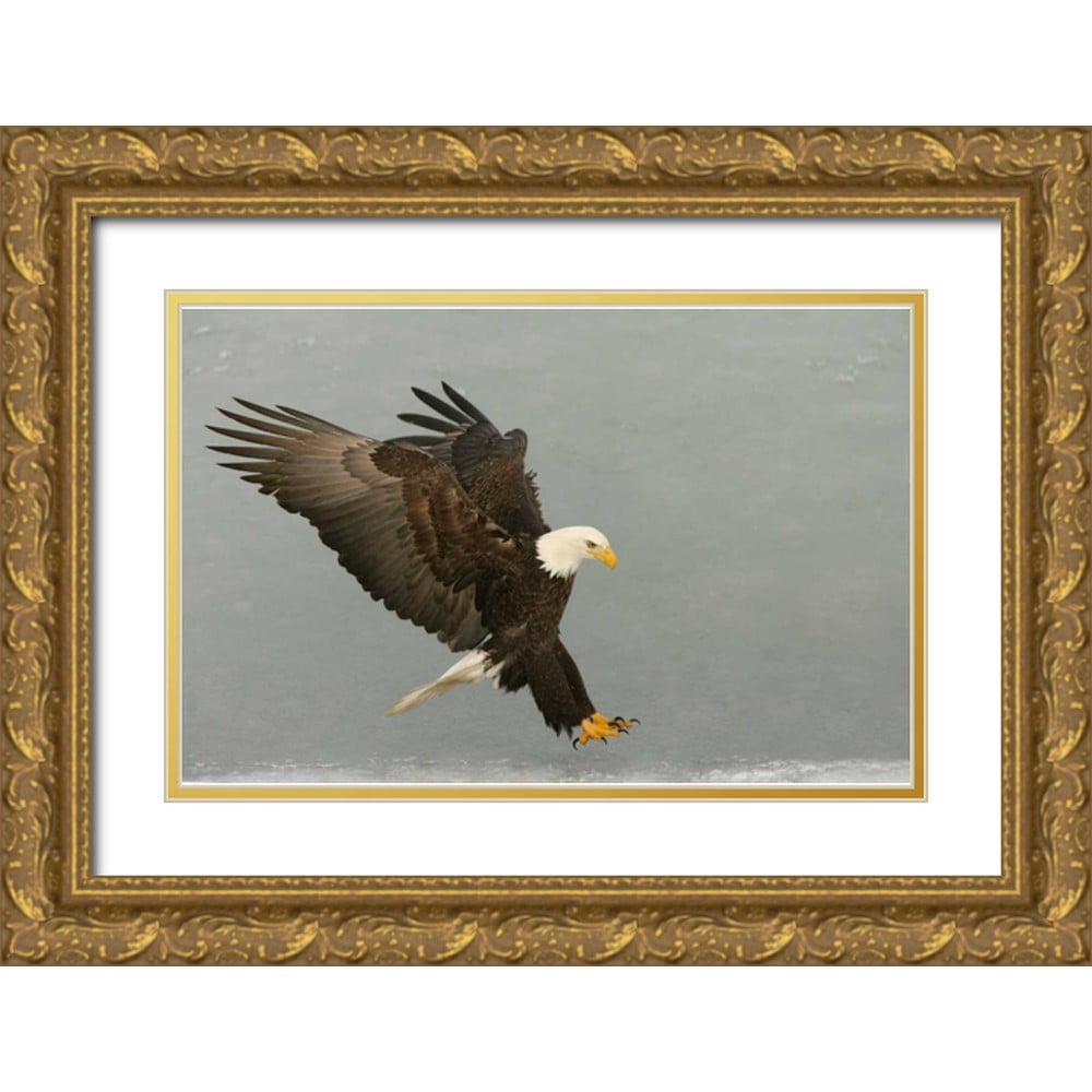 Morris, Arthur 32x22 Gold Ornate Wood Framed with Double Matting Museum ...