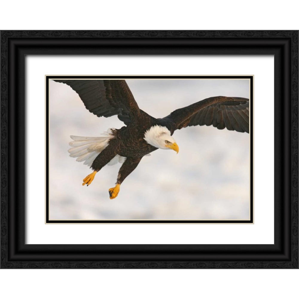 Morris, Arthur 32x24 Black Ornate Wood Framed with Double Matting ...