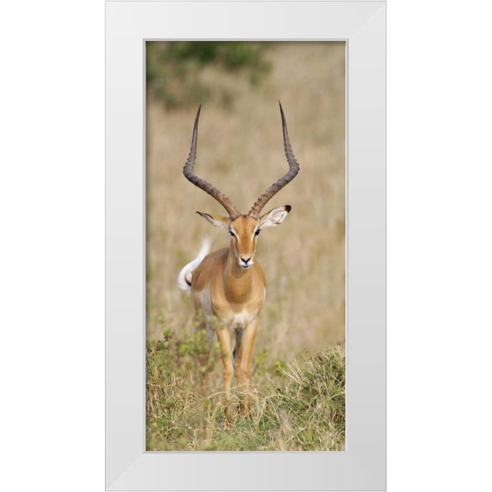 Morris, Arthur 9x14 White Modern Wood Framed Museum Art Print Titled ...