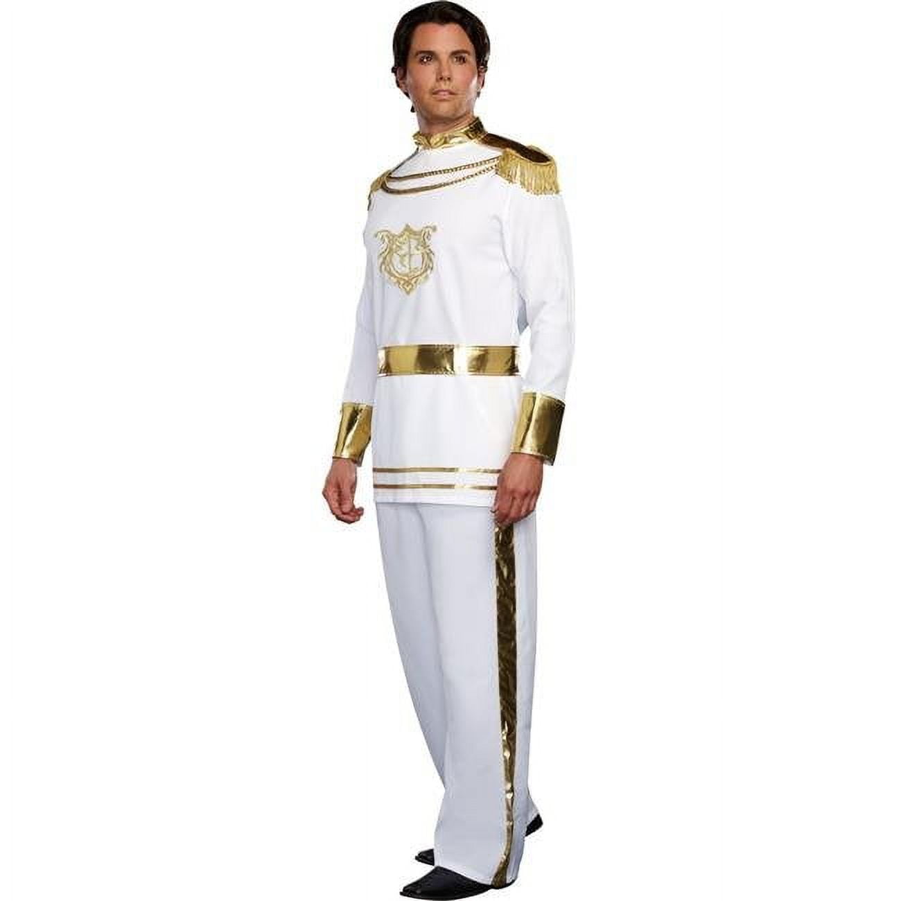 Morris Costume RL9474XL Fairytale Prince Mens Costume, Extra Large ...