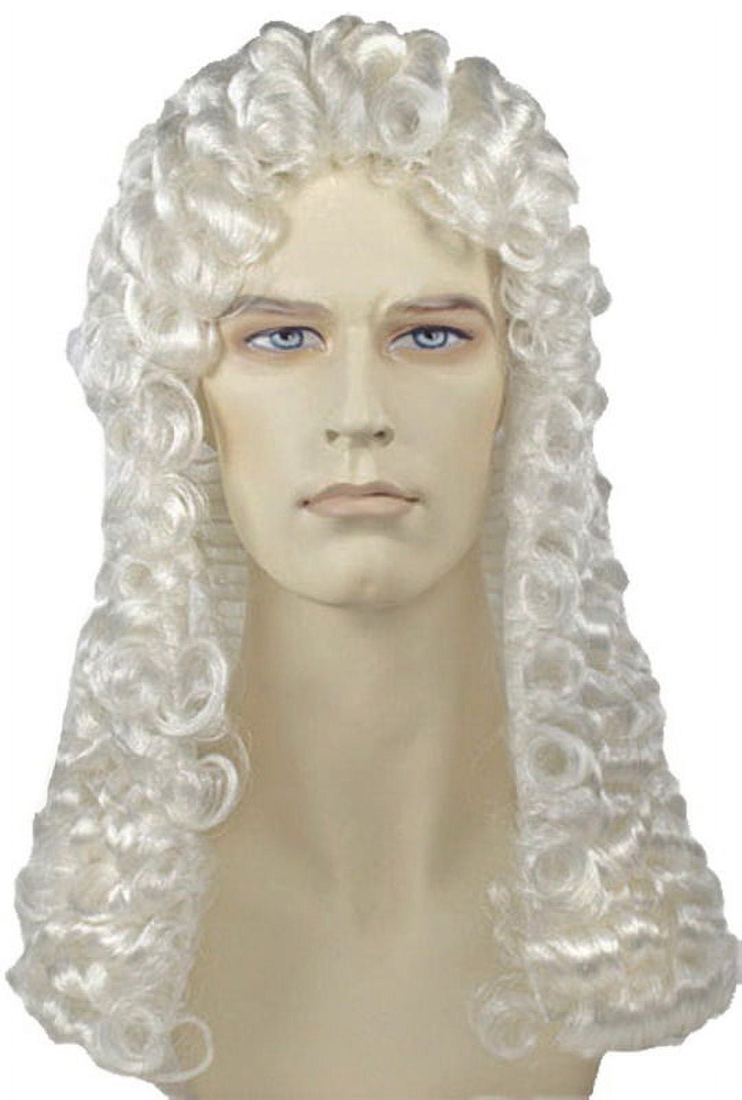Morris Costumes Deluxe Judge Wig - Walmart.com