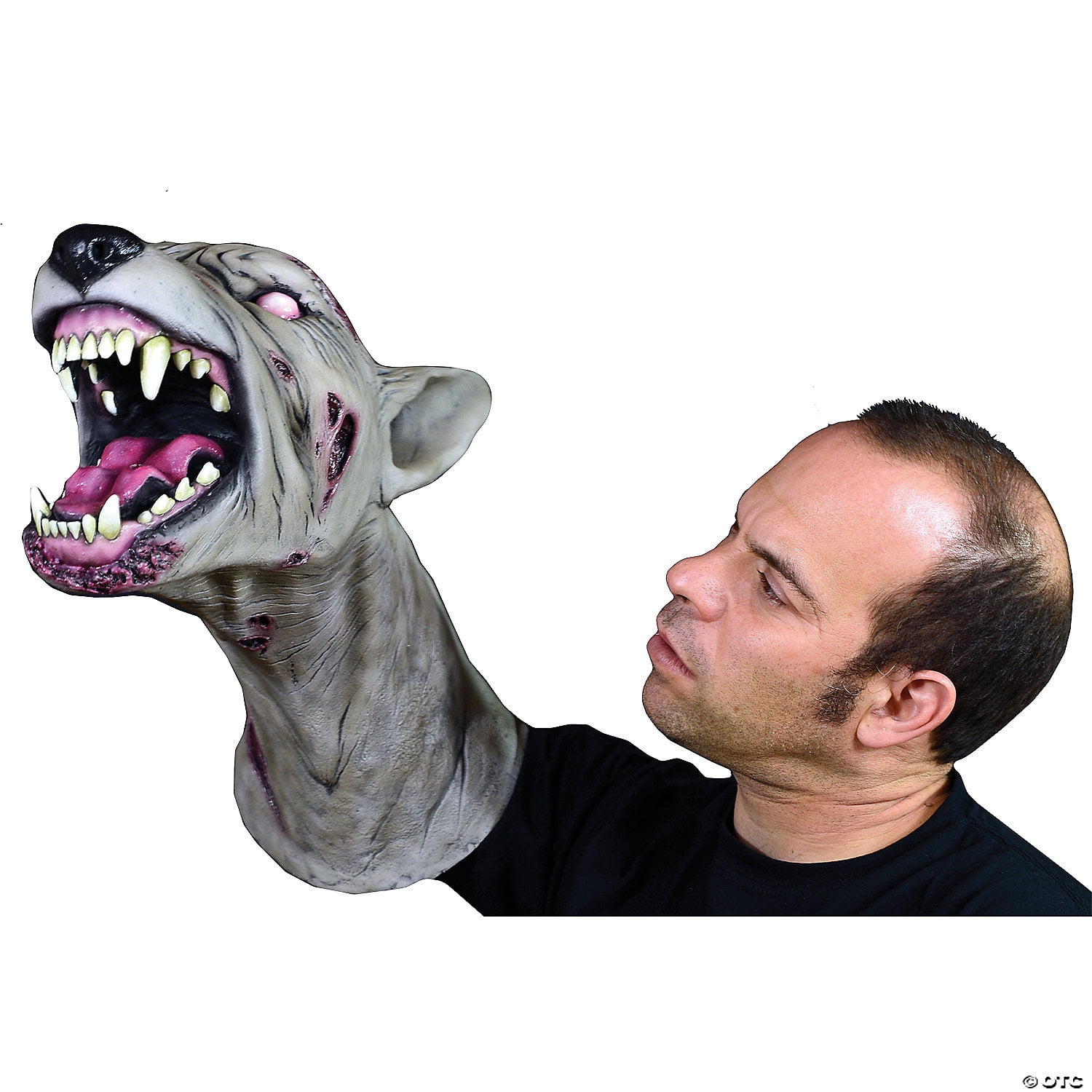Morris Costumes Zombie Dog Arm Puppet - Walmart.com