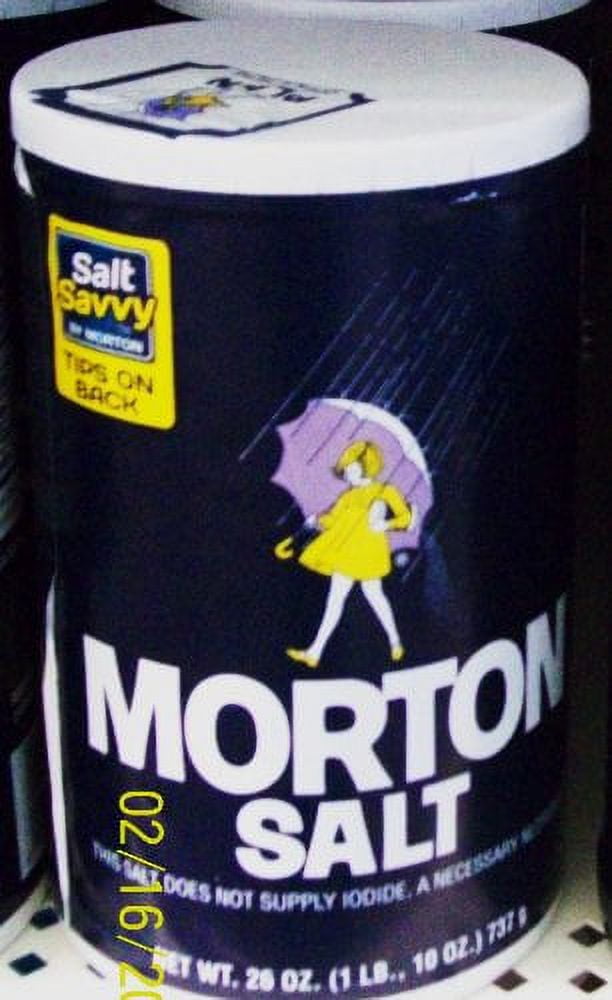 Morton Salt Regular Salt - 26 oz (Pack of 12) - Walmart.com