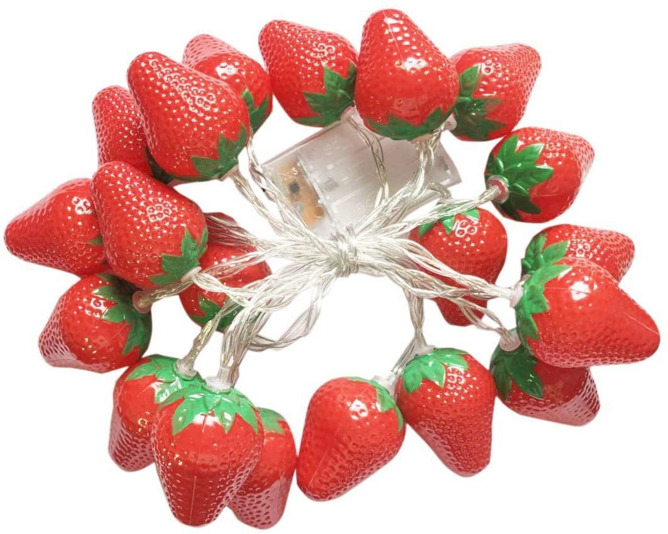 Morttic 10LED Fruit Strawberry String Lights Battery Powered Indoor ...