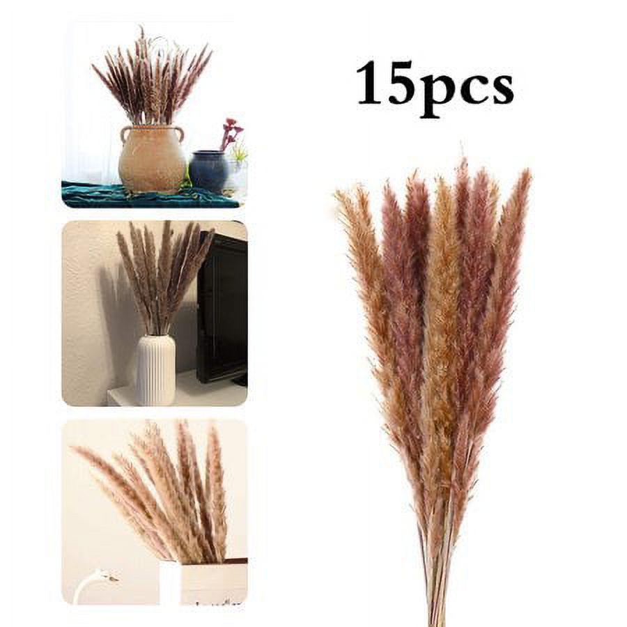 Morttic 15pcs Natural Dried Reed Flowers Bouquets Pampas Grass For Home ...
