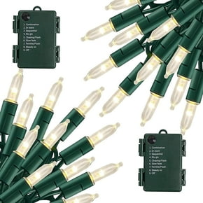 Battery Operated Led Display Lights