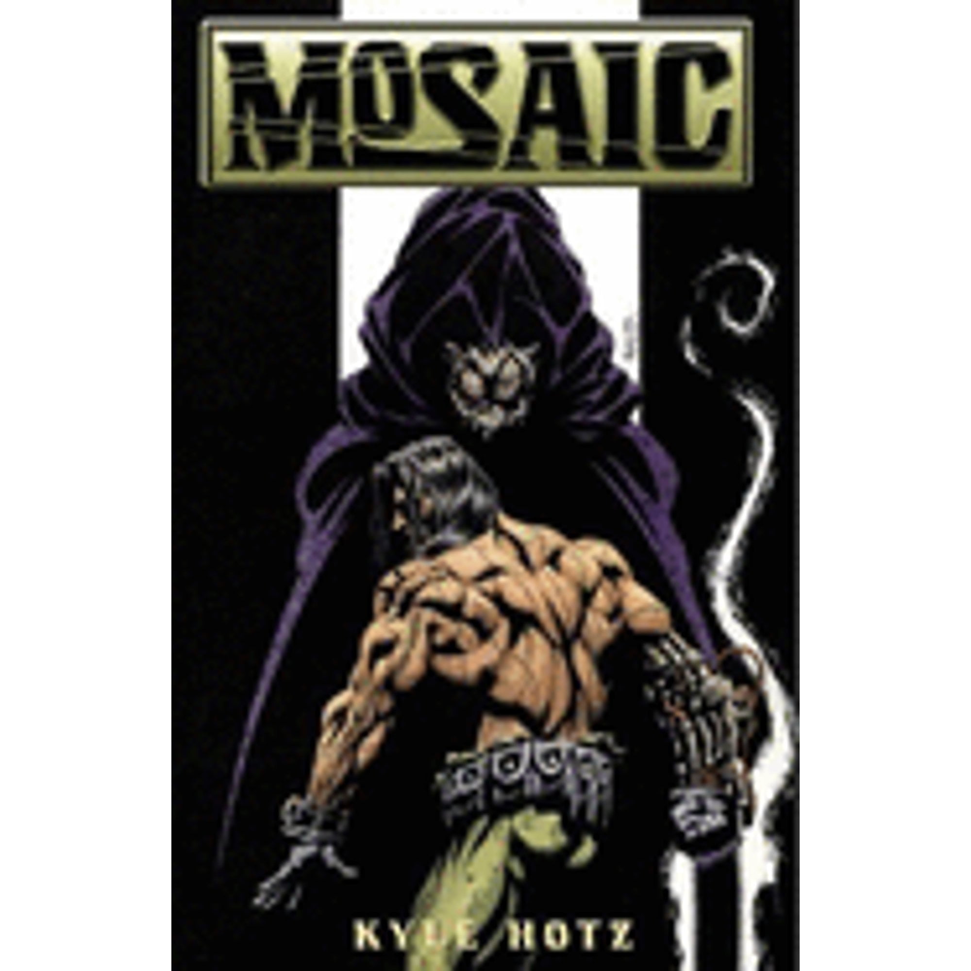 Pre-Owned Mosaic: Hell City Ripper (Paperback 9781579890339) by Kyle ...